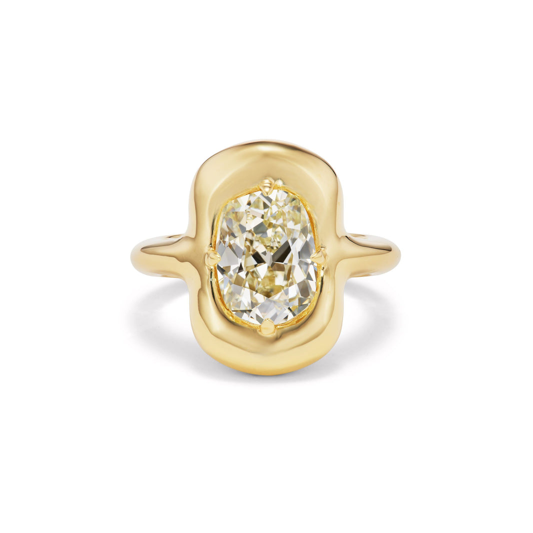 Arielle Ratner | Engagement Series